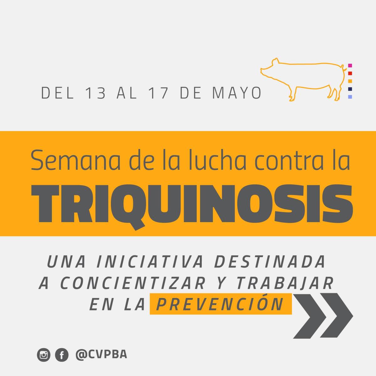 Semana de la Lucha contra la Triquinosis: ¿Qué es y cómo prevenirla ...